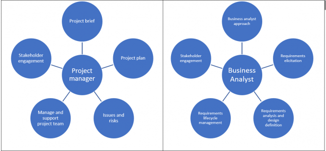 Business Analyst and Project Manager collaboration | Business Bullet
